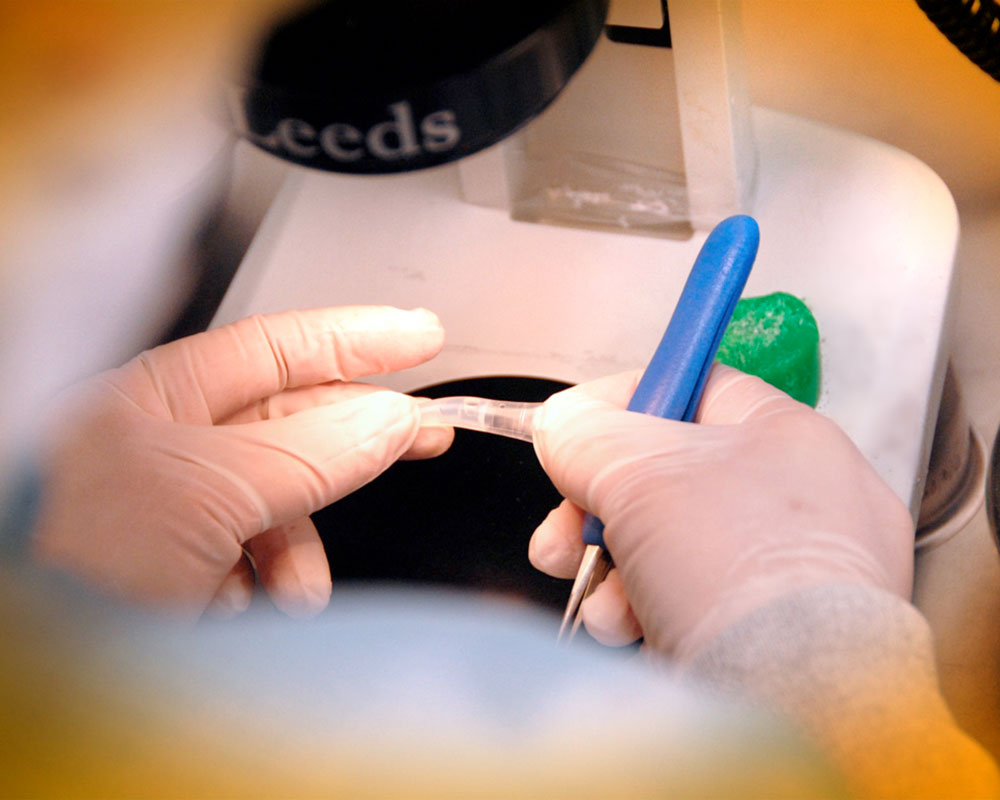 Testing - ProMed Molded